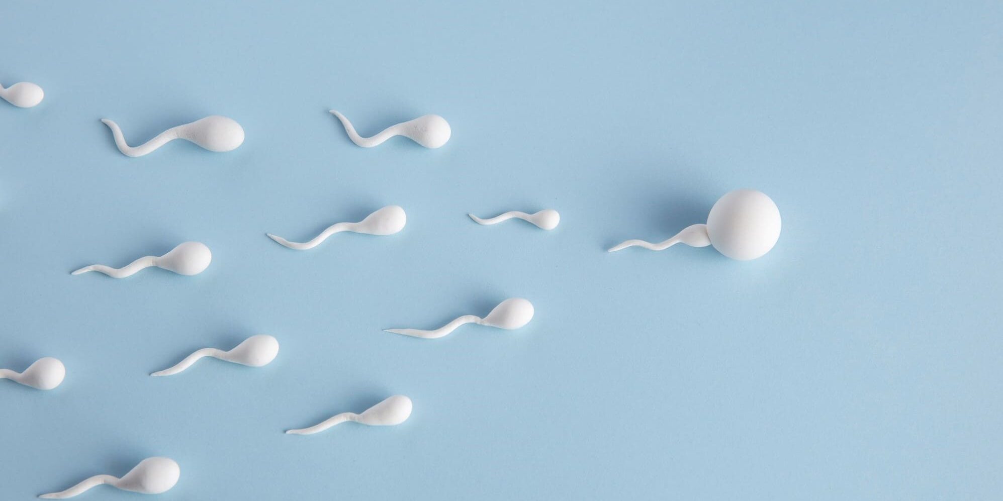 ¿Quieres elegir el donante de semen? - Medtravelco